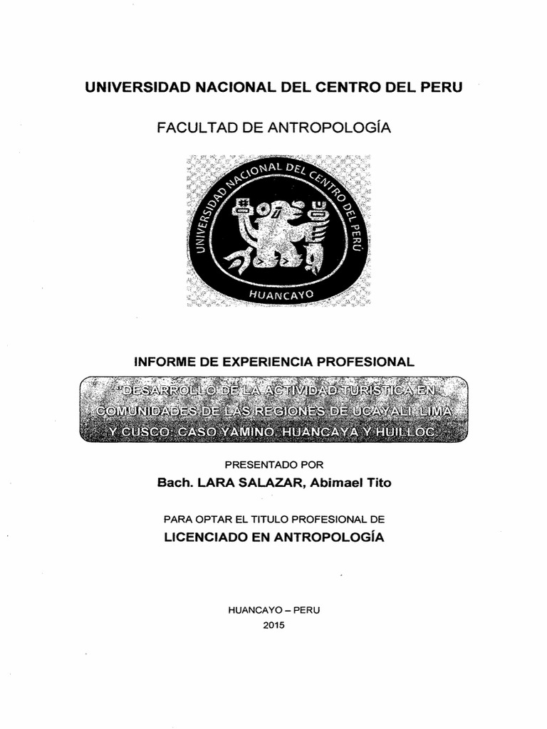 Universidad Nacional Del Centro Del Peru: Informe de Experiencia Profesional | PDF
