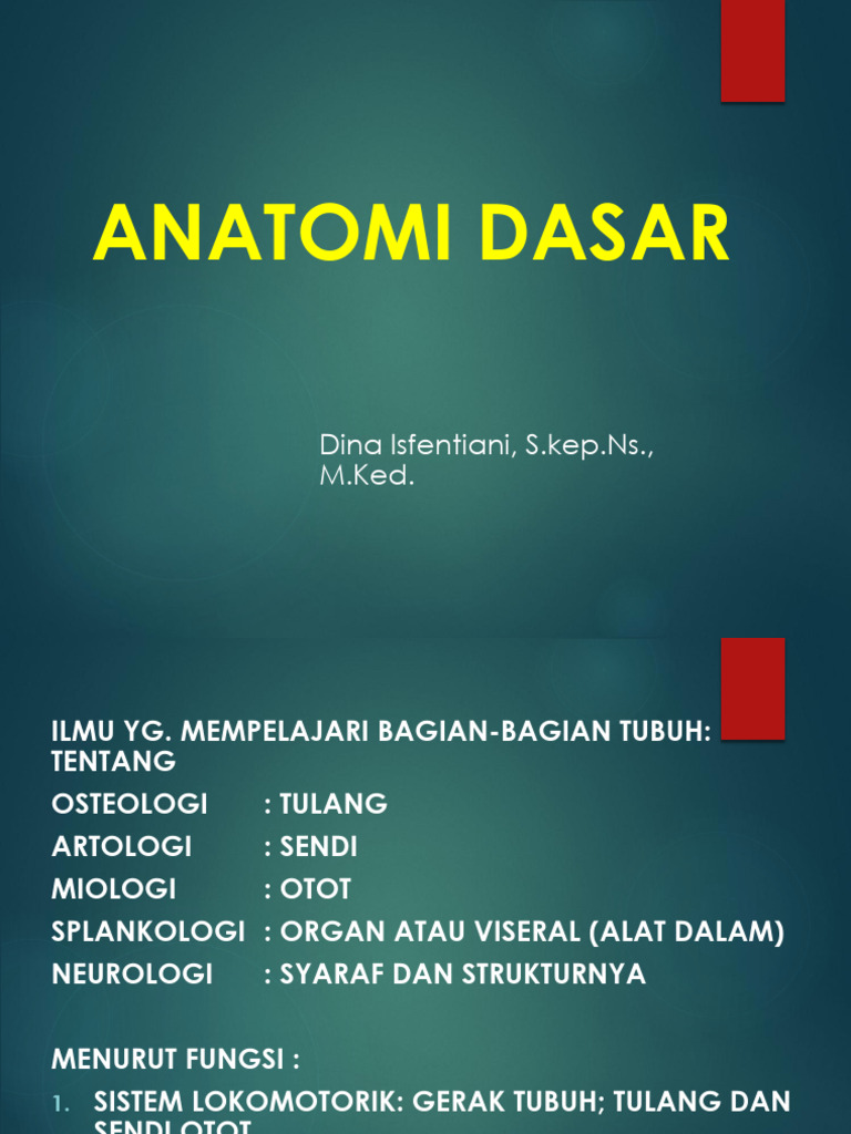 1a. ANATOMI DASAR, 2023 | PDF