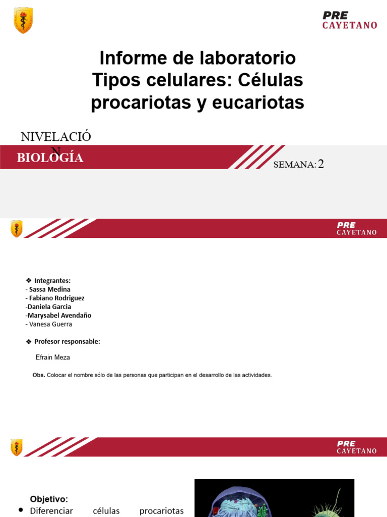 Informe de Laboratorio PL2 - Nivelación G5 | PDF | Biología Celular) | Citoplasma