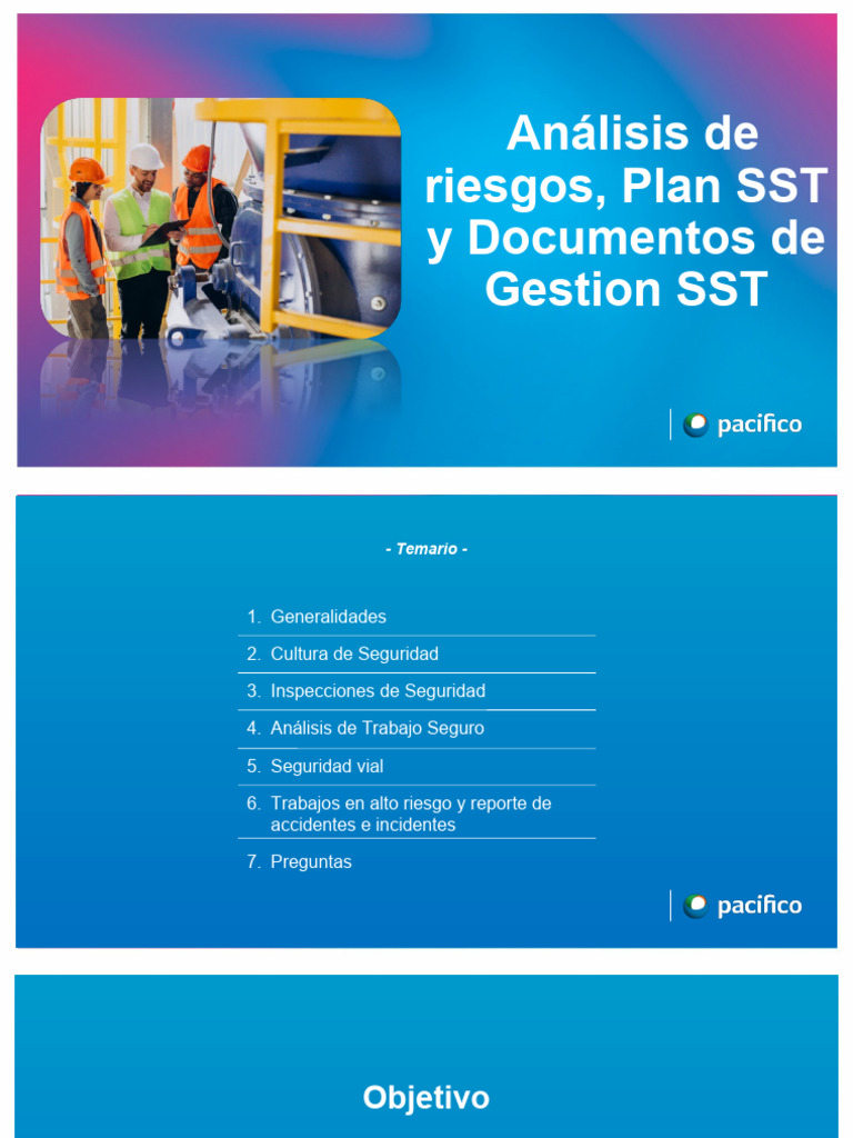 Analisis de Riesgos, Plan SST, Documentacion SST | Descargar gratis PDF ...