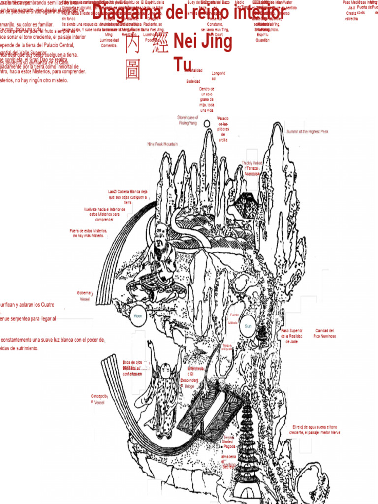 Nei Jing Tu | PDF