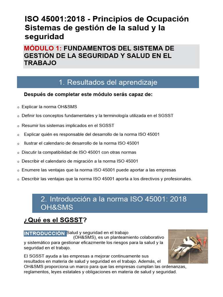 Curso Iso 45001-2018 PDF | Descargar gratis PDF | Seguridad y salud ocupacional | Business