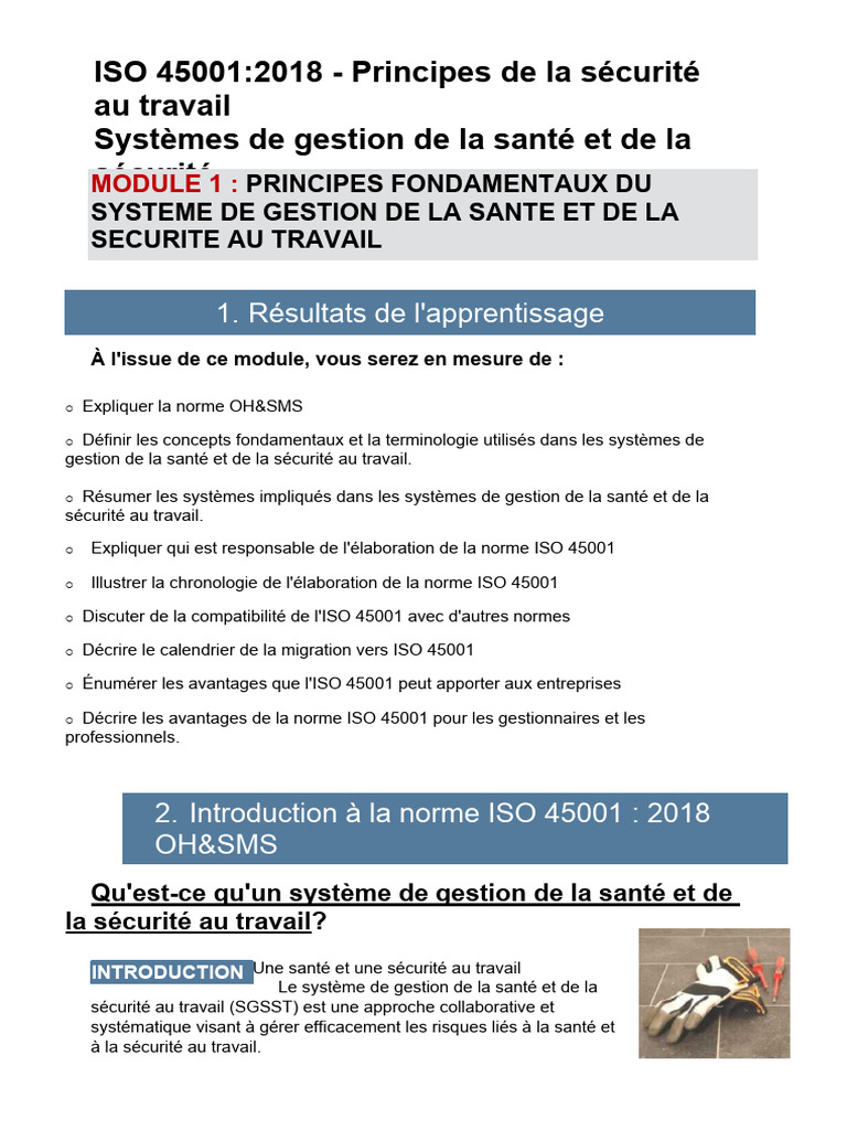 ISO 45001:2018 - Principes de sécurité au travail | PDF | Affaires