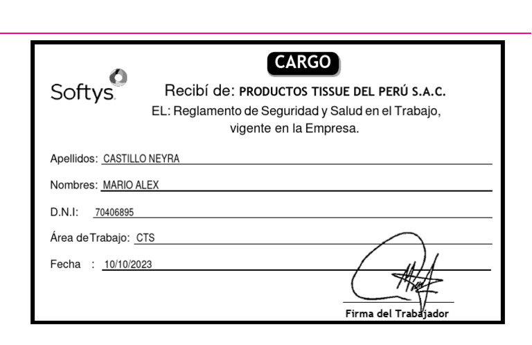 Cargo de Entrega Risst - Softys | PDF | Finanzas y dinero | Tecnología