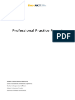 Professional Documents Examples | PDF