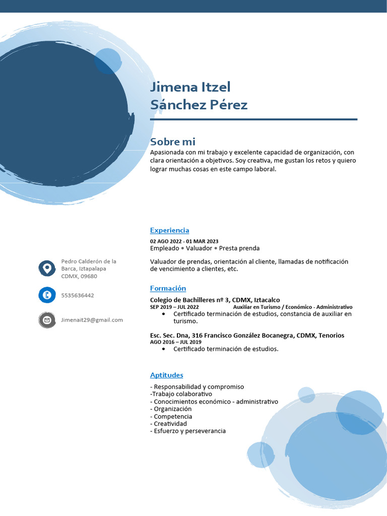 Curriculum Jimena | PDF