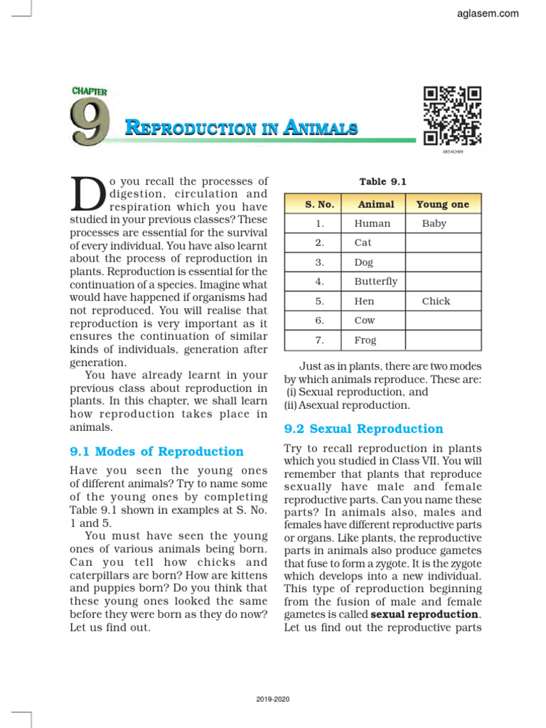 Chapter 9 Reproduction in Animals | PDF | Fertilisation | Reproductive ...