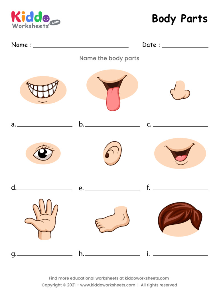 Body Parts Worksheet Spelling | PDF
