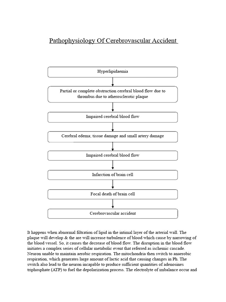 Pathophysiology of Cerebrovascular Accident | PDF | Wellness
