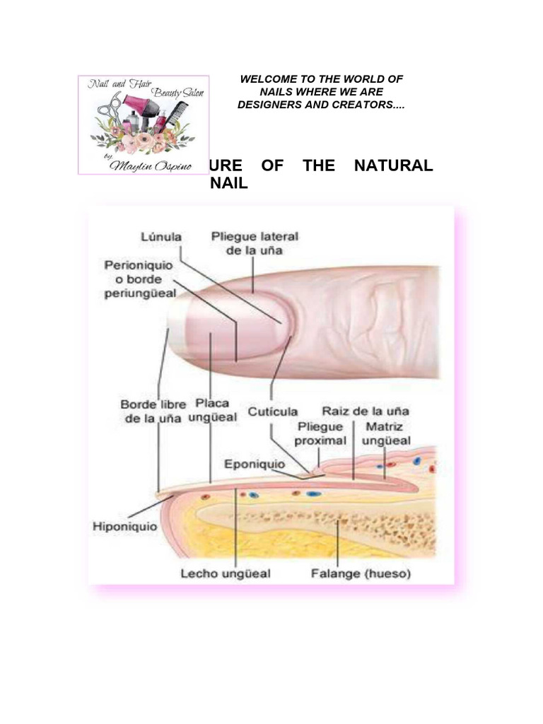 Original Acrylic Nail Guide | PDF