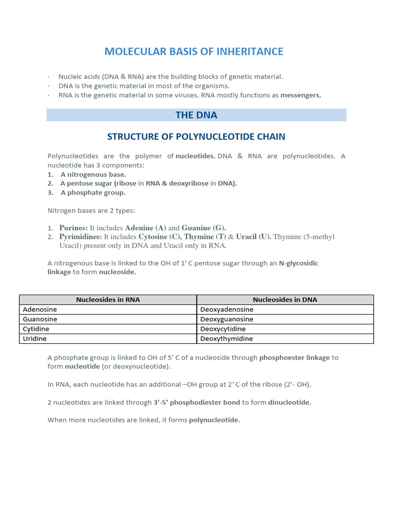 Molecular Basis of Inheritance | PDF | Operon | Translation (Biology)