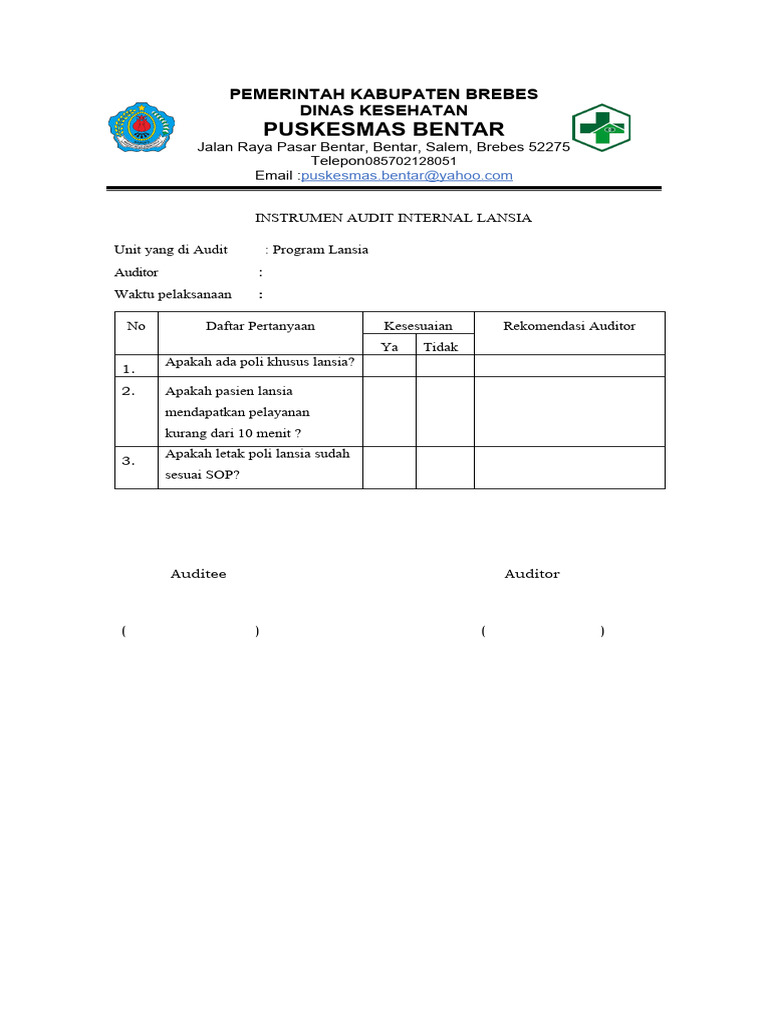 Audit Internal Lansia | PDF