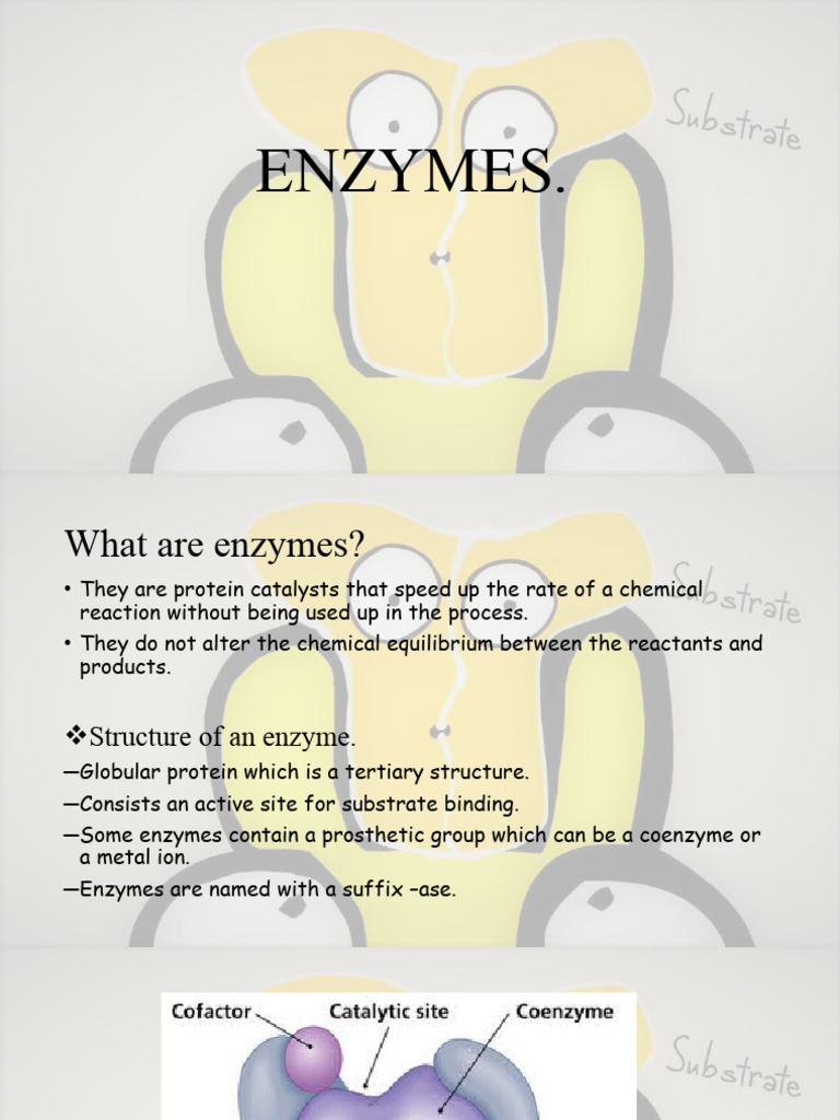 ENZYMES | PDF
