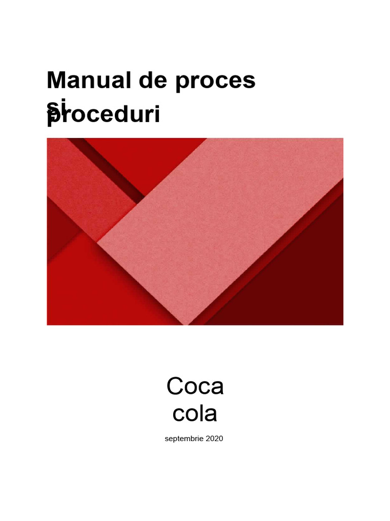Manual de Procese Și Proceduri | PDF
