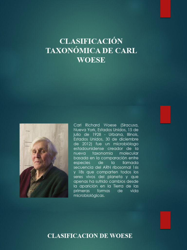 Carl Woese | PDF | Archaea | Eucariotas