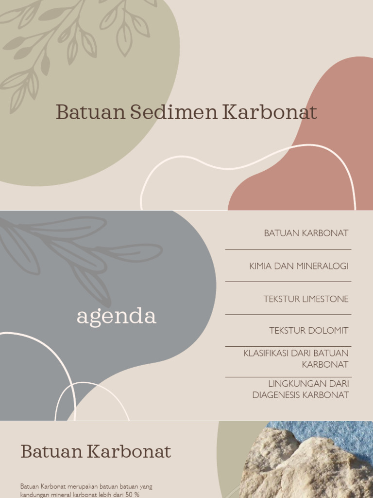Karakteristik dan Klasifikasi Batuan Karbonat | PDF