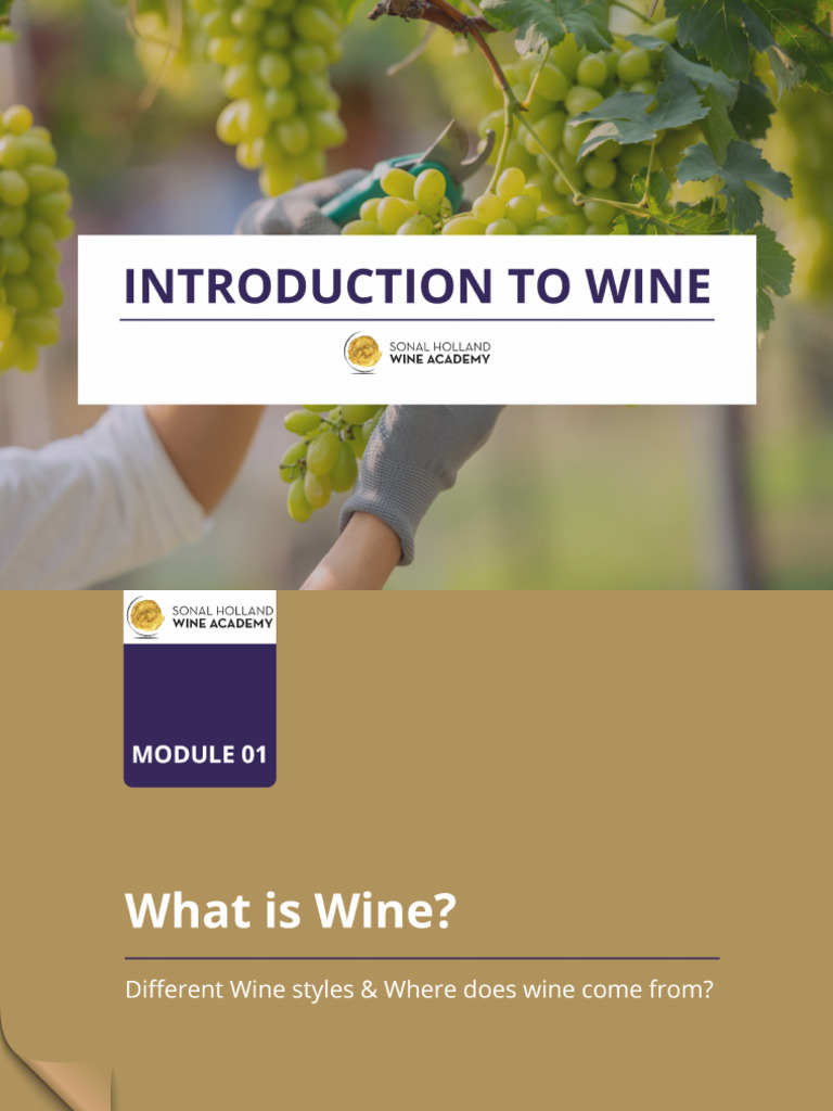 Introduction To Wine Ebook 3 | PDF