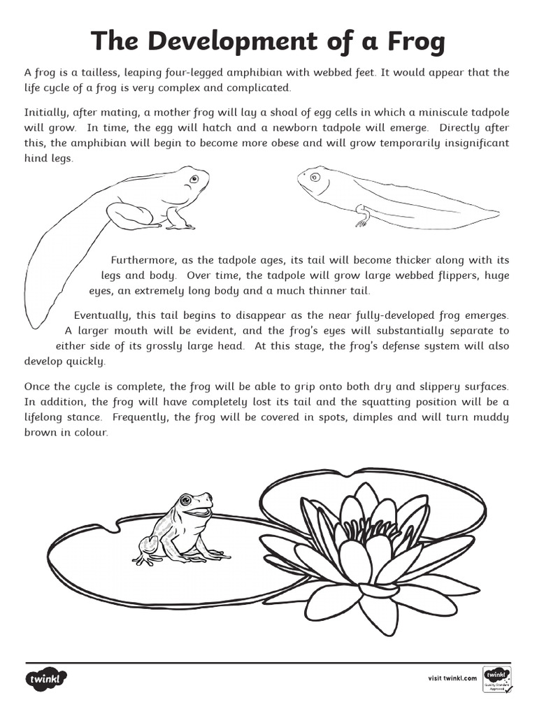 Au t2 e 2175 The Development of A Frog Explanation Writing Sample | PDF