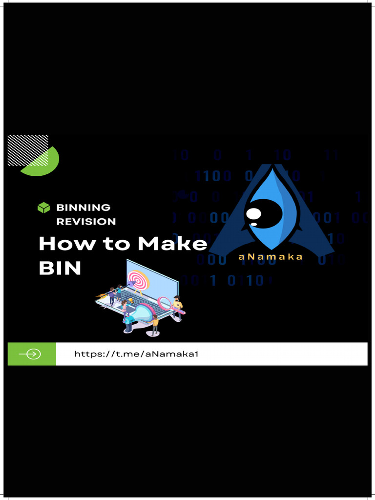 How To Make Bin Extraps | PDF | Visa Inc. | Banking