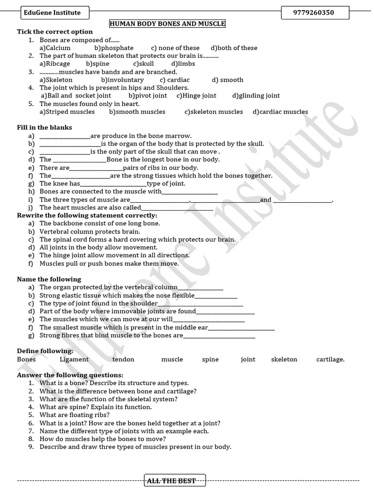 Class 5th Science | PDF | Skeleton | Nerve