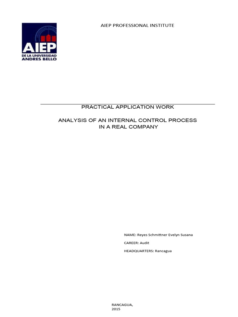 AIEP Practical Application Work | Download Free PDF | Chile | Mining