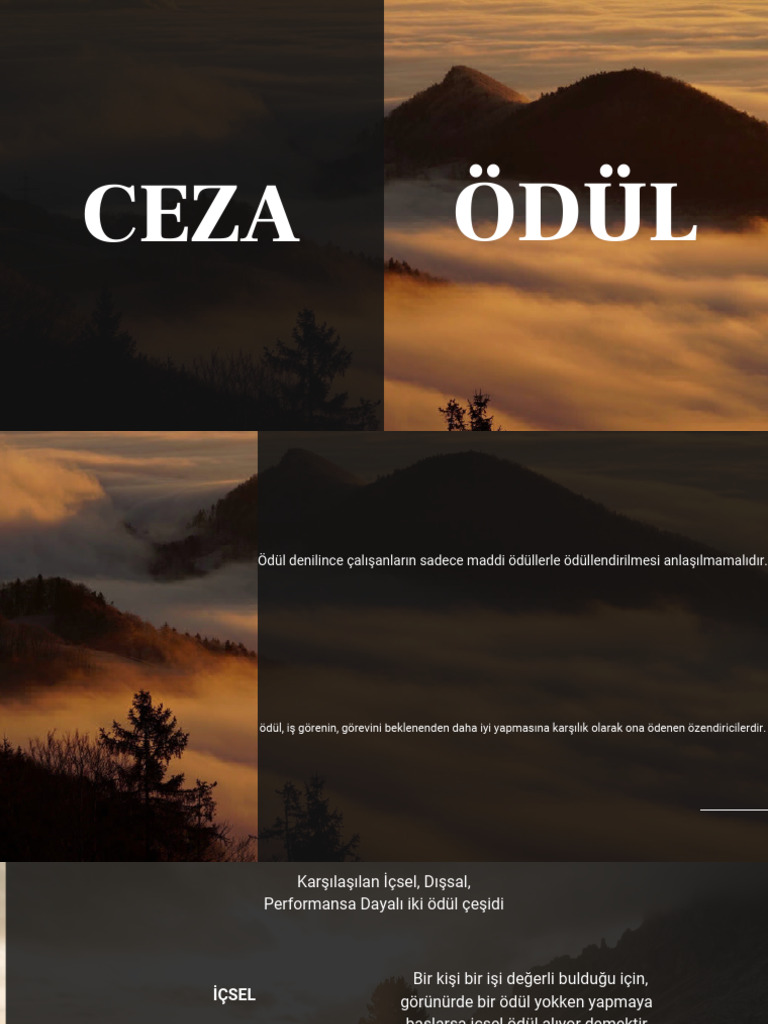 Ceza Ödül | PDF