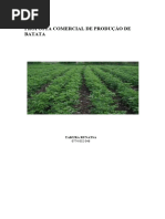 Produção Sustentável de Batata Reno em Boane | PDF | Batata | Agricultura