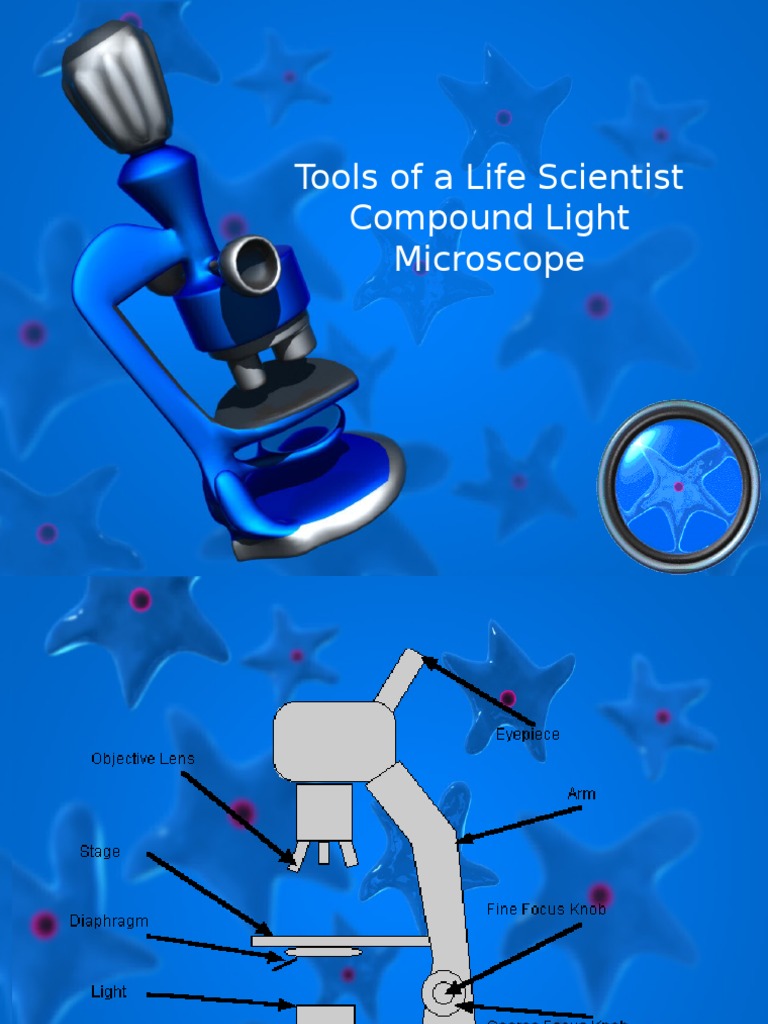 5332tools Of A Life Scientist Compound Light Microscope Pdf