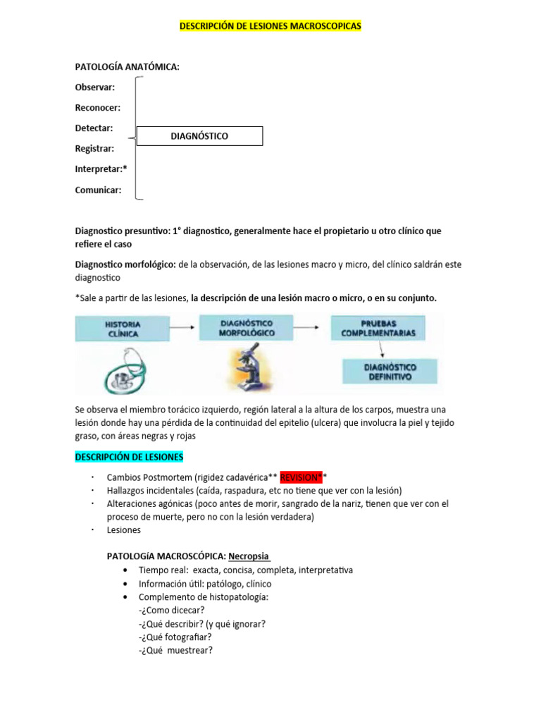 Descripción de Lesiones Macroscopicas | PDF | Corazón | Ventrículo (corazón)