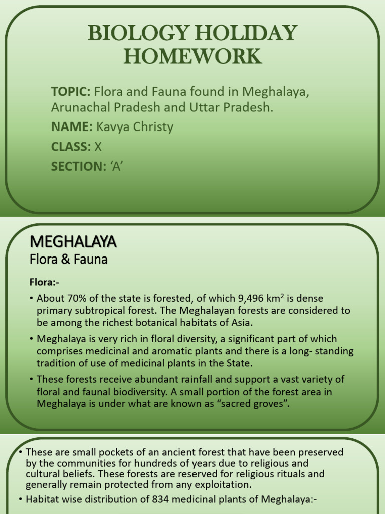 Biology Holiday Homework 2 | PDF | Himalayas | Forests
