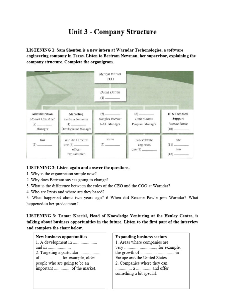 Unit 3 Company Structure | PDF