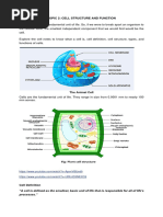 Class 9 Bio Chapter 1 Notes Cell | PDF | Cell Membrane | Cell Nucleus