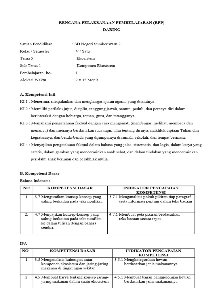 RPP Siklus 2 Baru-Nuraini | PDF