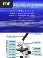 51talk Main Characters PDF | PDF