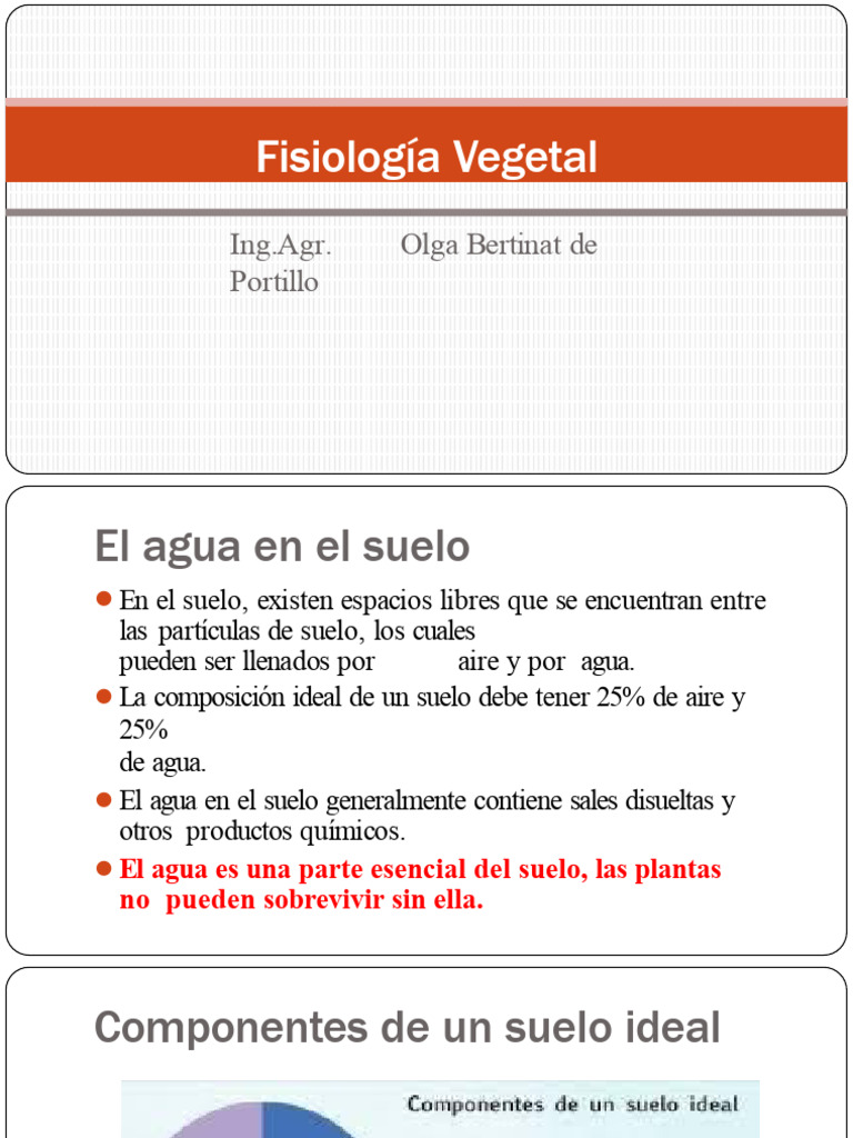 Fisiología Vegetal Unidad 3 | PDF | Raíz | Agua