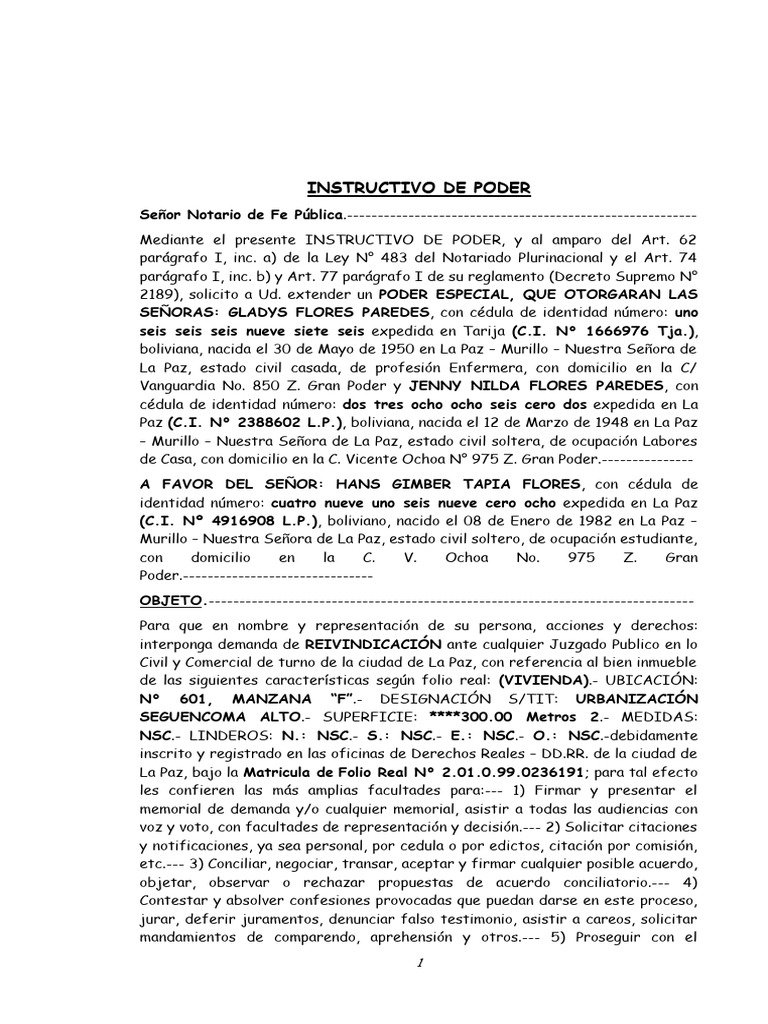 INSTRUCTIVA DE PODER | PDF | Demanda judicial | Ley politica