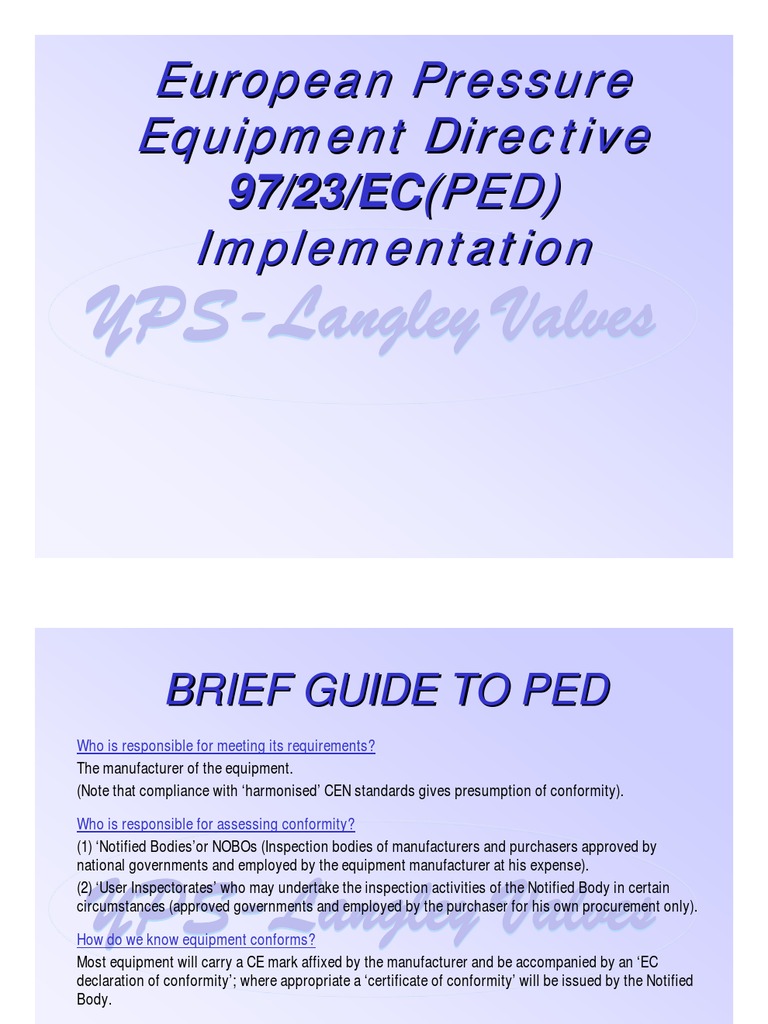 YPS PED Implementation | PDF | Engineering | Business