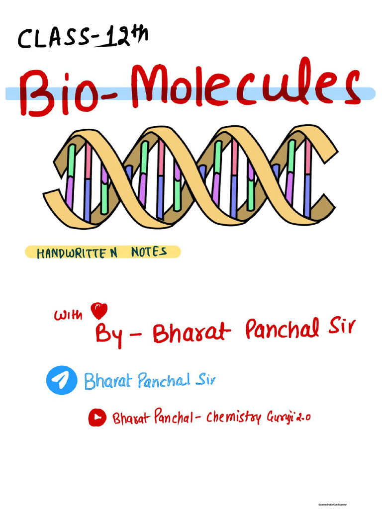 Bio Molecules | PDF