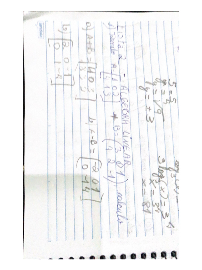 Amanda Mota - Matrizes | PDF