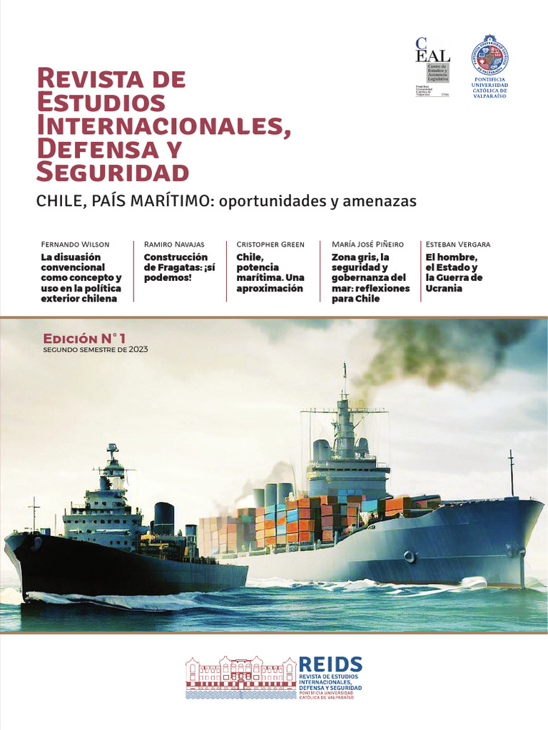 Revista REIDS | PDF