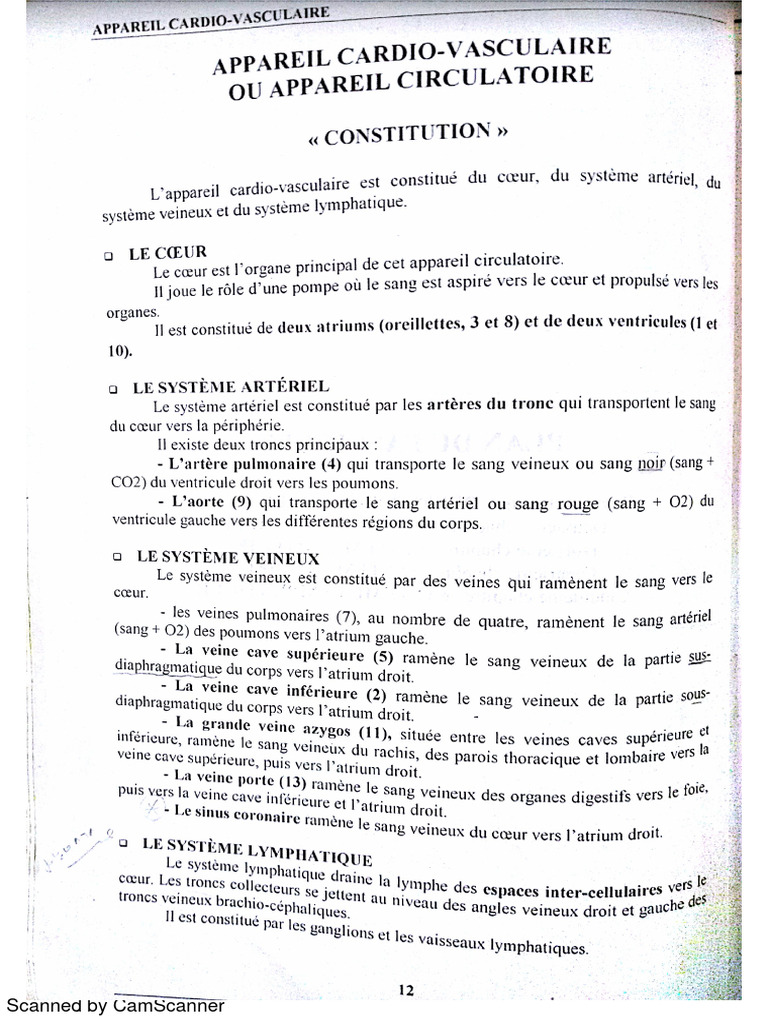 PR S.S.hammoudi - Anatomie de L'appareil Cardiovasculaire | PDF