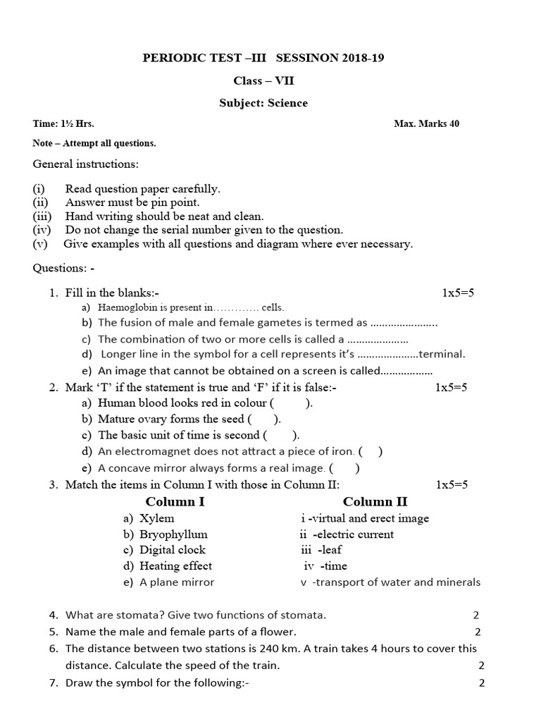 Class VII Science PT II 2018 19 | PDF | Electromagnetism