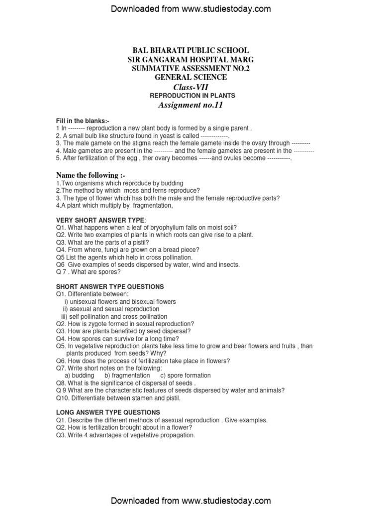 Cbse Class 7 Science Worksheet Pdf