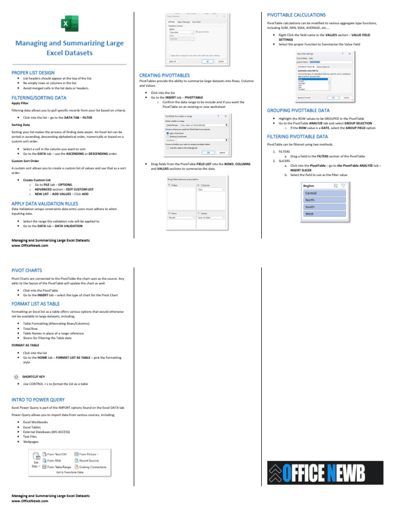 Managing And Summarizing Large Excel Datasets Pivottable Calculations Pdf Microsoft Excel