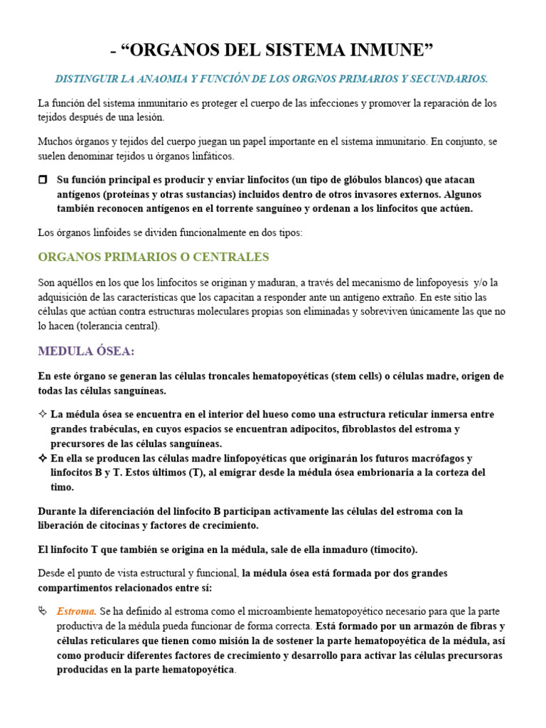 Organos Del Sistema Inmune | PDF | Sistema inmune | Linfocitos