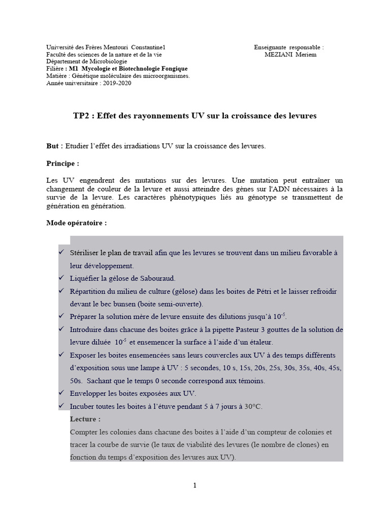 TP2 Effect Des UV Sur La Croisssance Des Levures | PDF