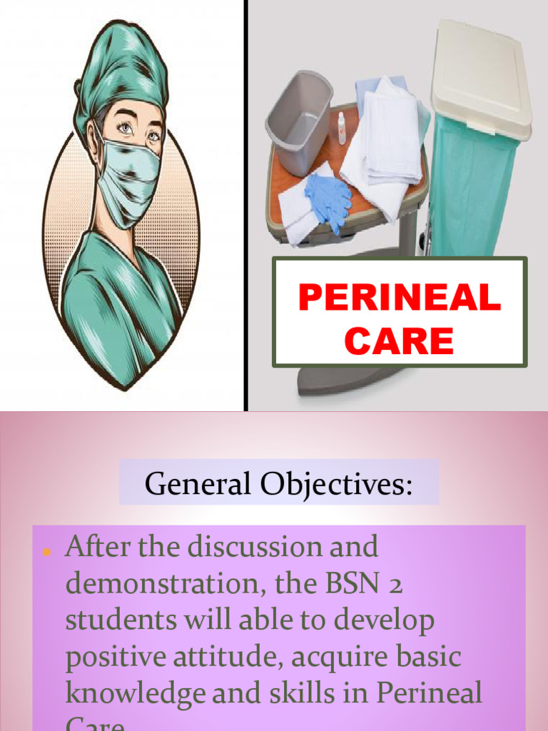 Perineal Care | PDF | Labia | Genitourinary System