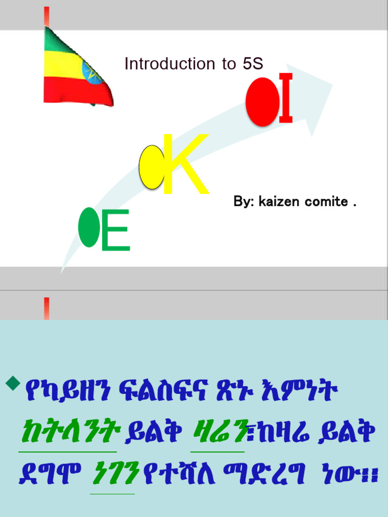 Introduction To 5S: By: Kaizen Comite | PDF