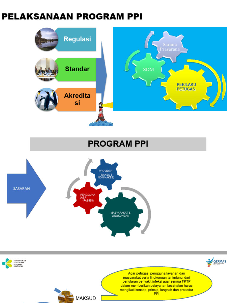 Program Ppi | PDF | Pengembangan Diri | Kesehatan Holistik