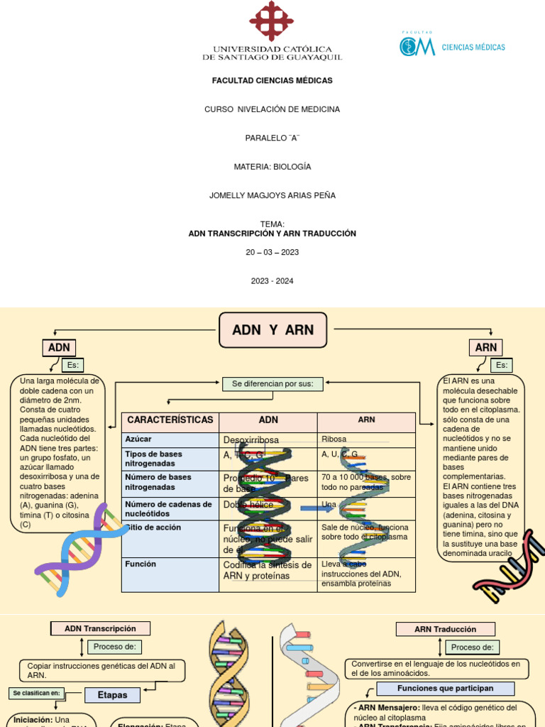 Tarea 2 Adn y Arn | PDF